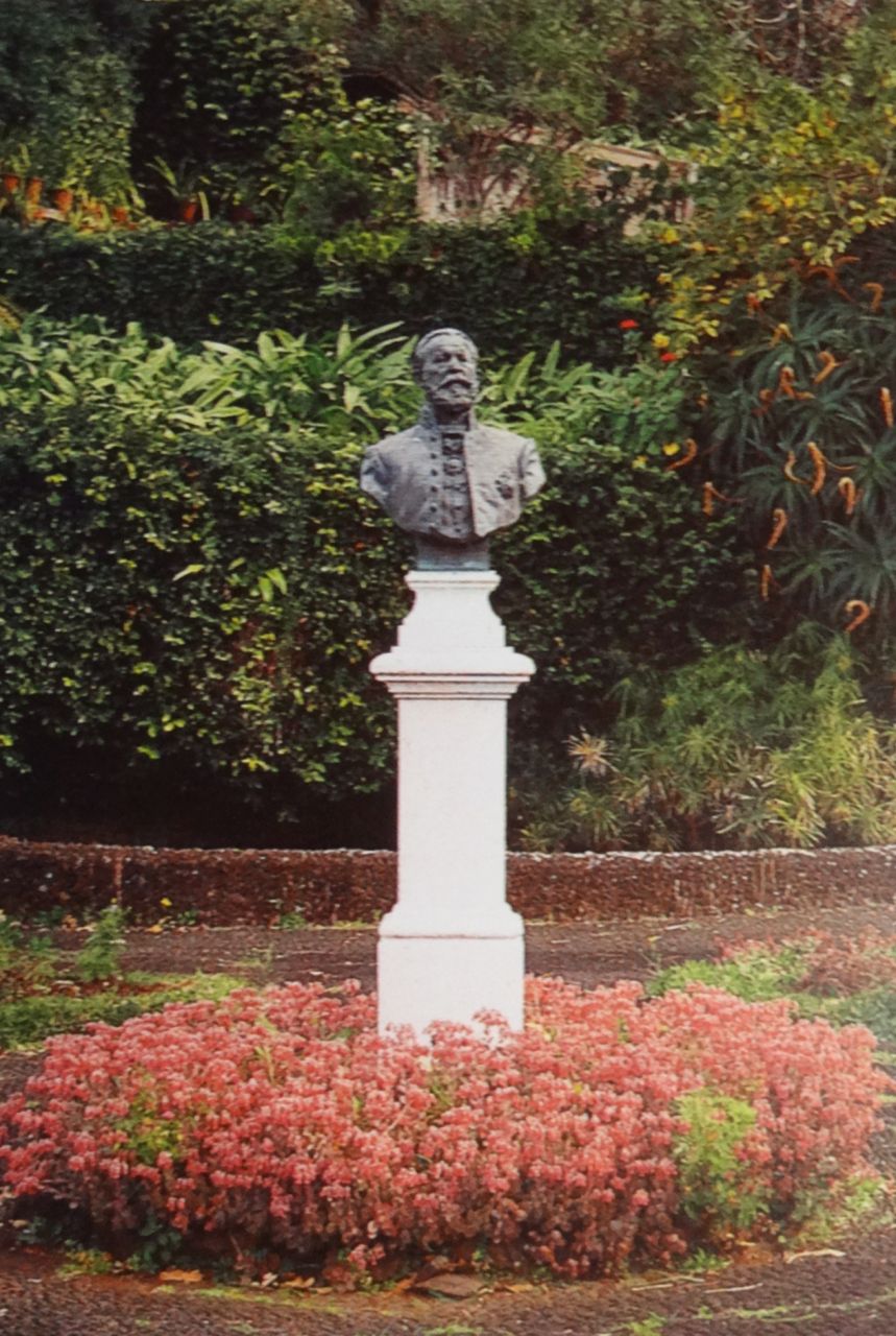 Visconde de Cacongo, bronze de Francisco Franco, 1913, Funchal, ilha da ...