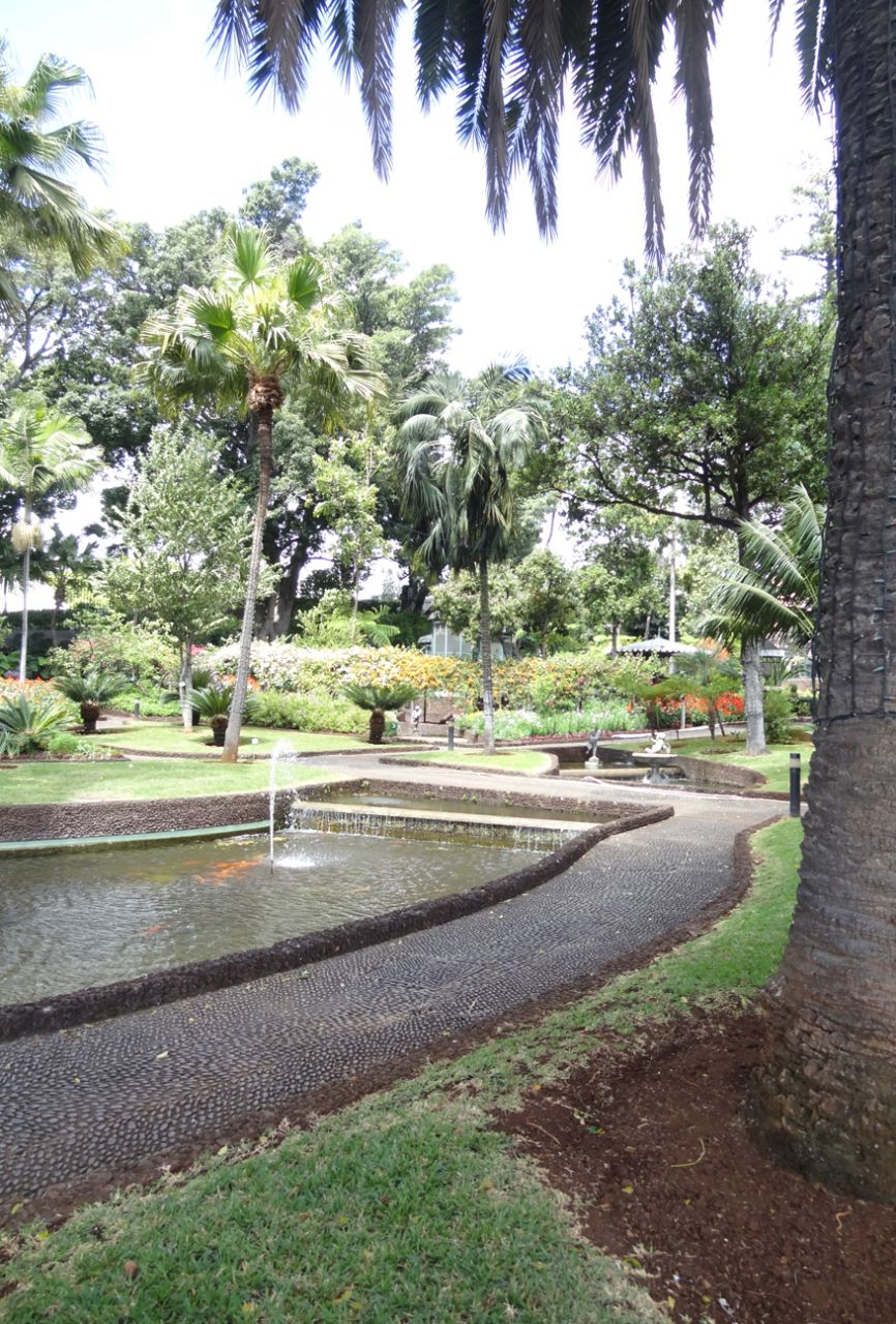 Cascata de jardim, 1990 (c.), Quinta Vigia, Funchal, ilha da Madeira ...