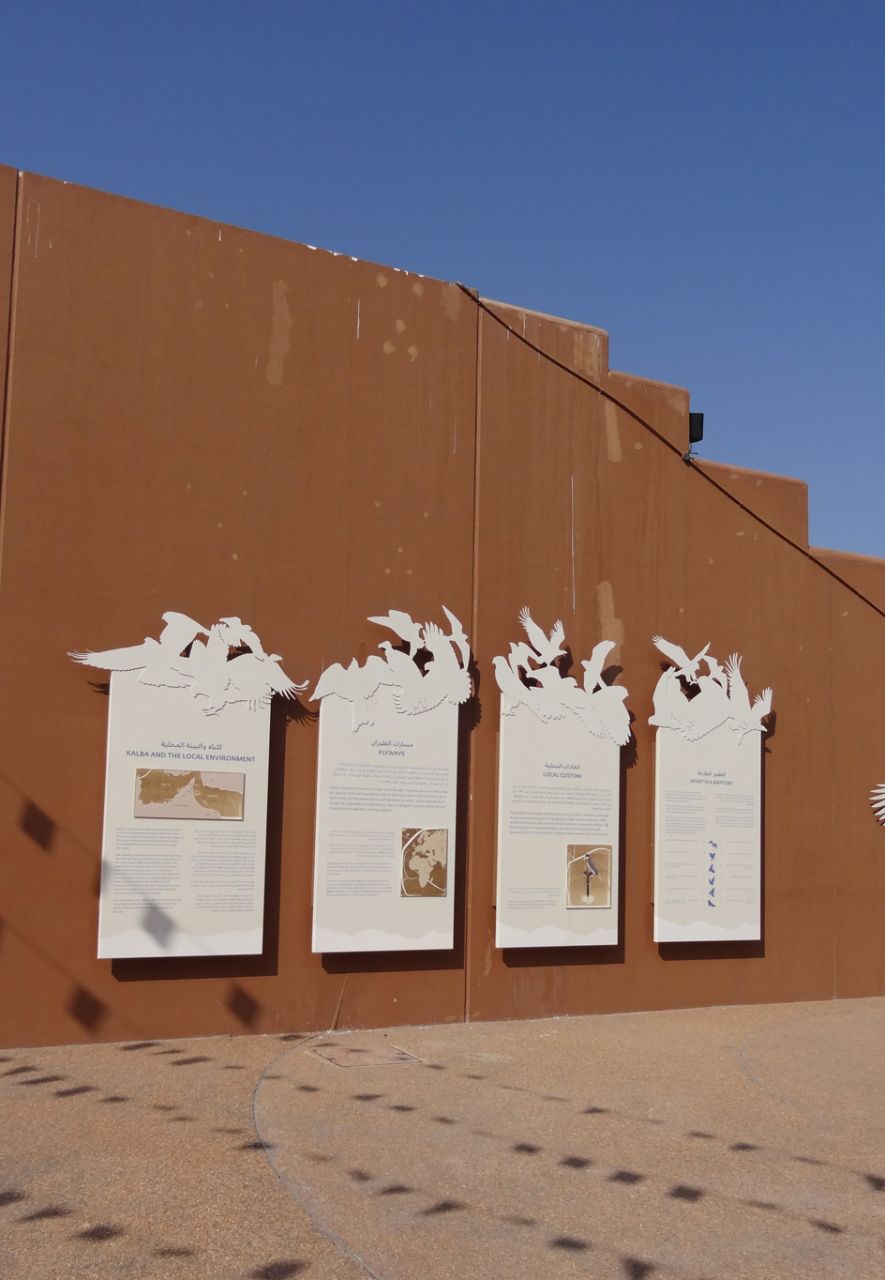 Painel interior do Kalba Bird of Prey Centre, 2020, Al Ghayl, Kalba ...