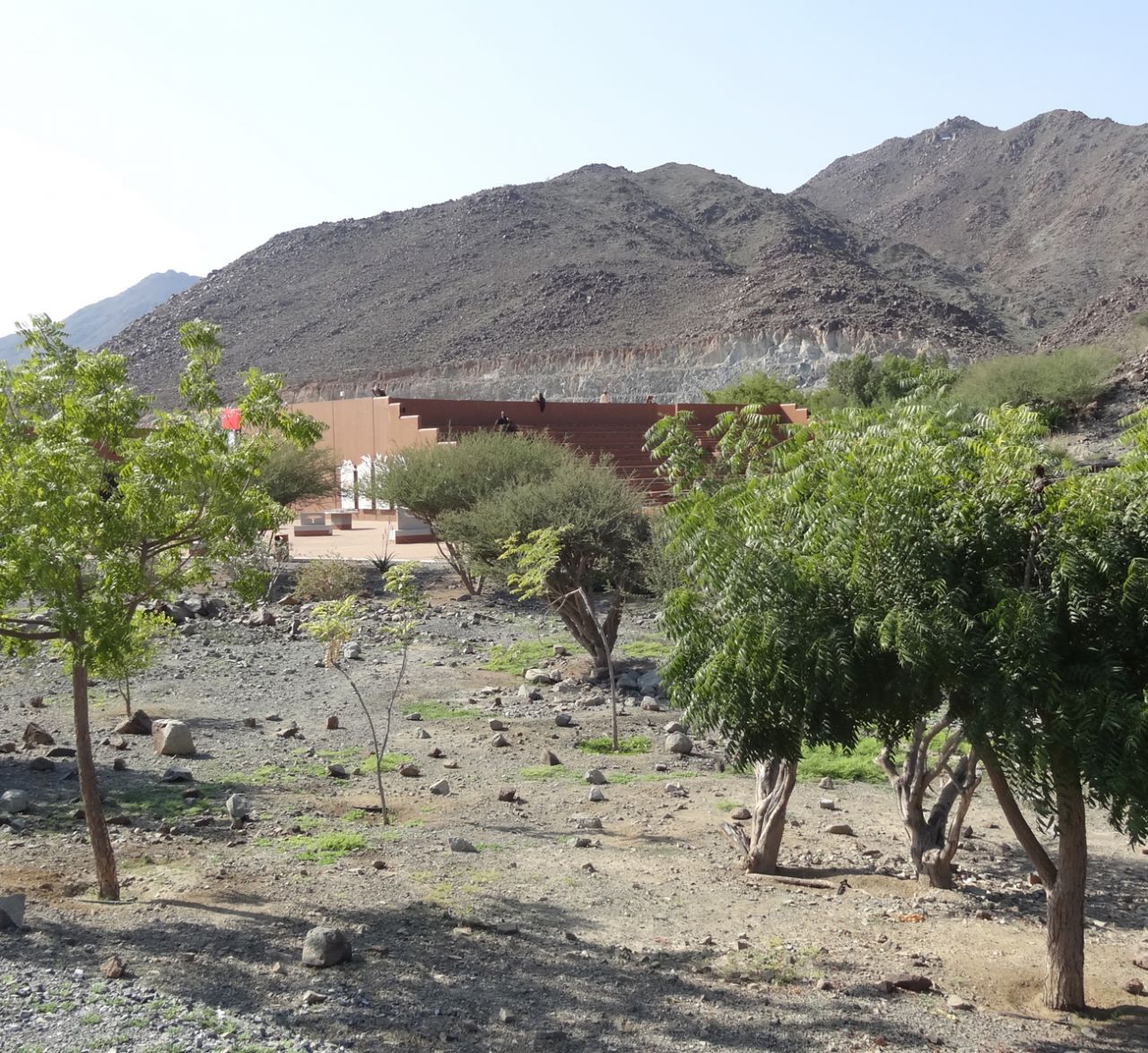 Auditório do Kalba Bird of Prey Centre, 2020, Al Ghayl, Kalba, Sharjah ...
