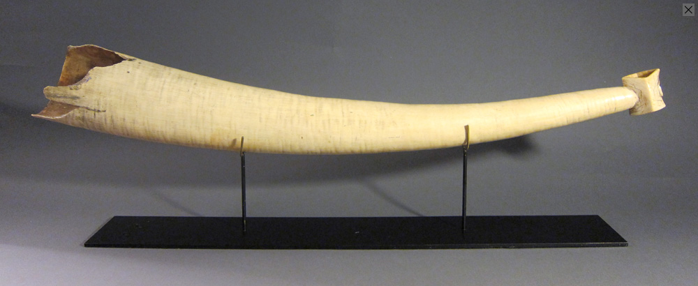 Instrumentos de sopro – Arquipélagos