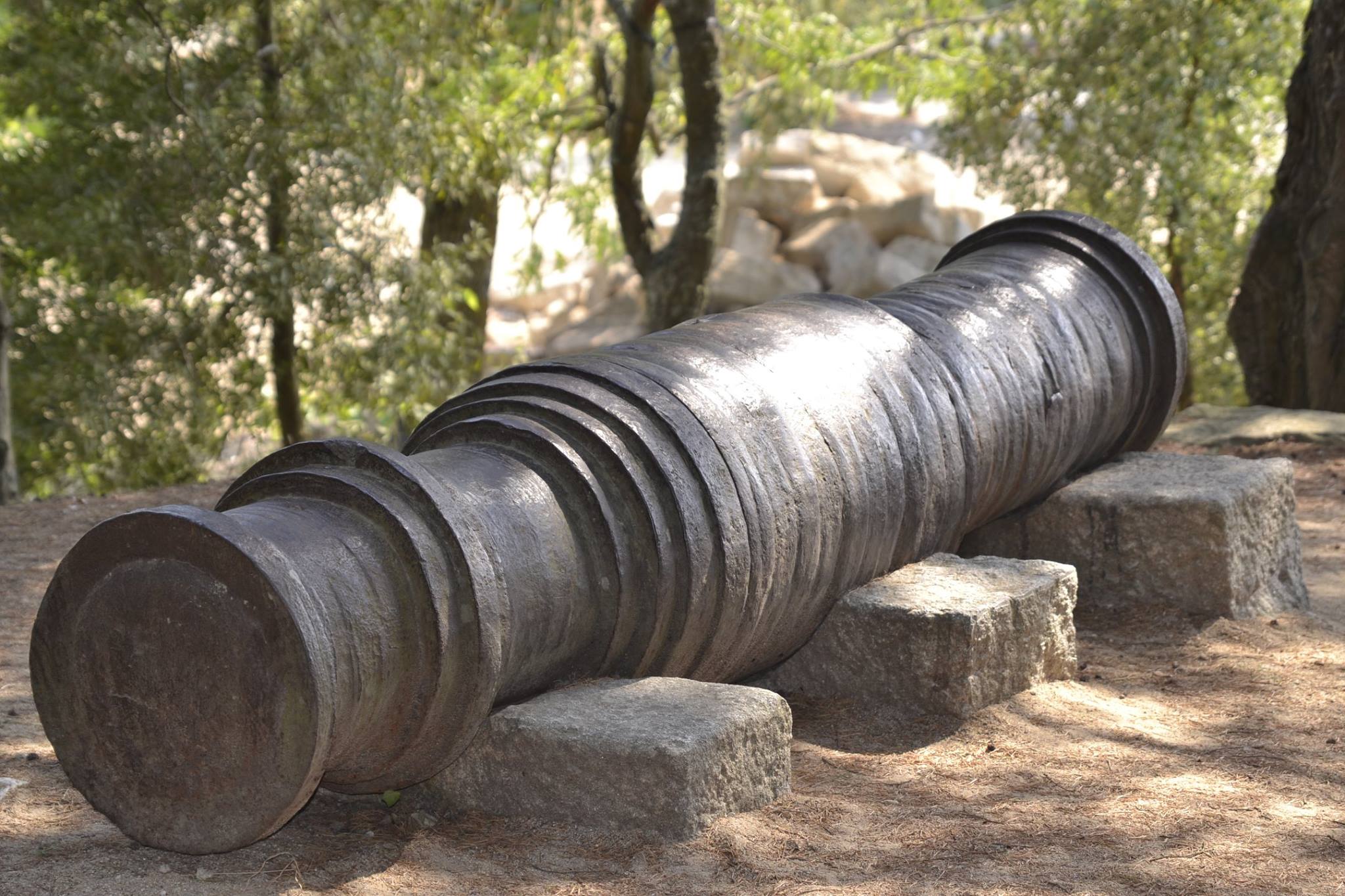 Grande bombarda do parque do castelo de Pinhel, 1450 (c.), Guarda ...