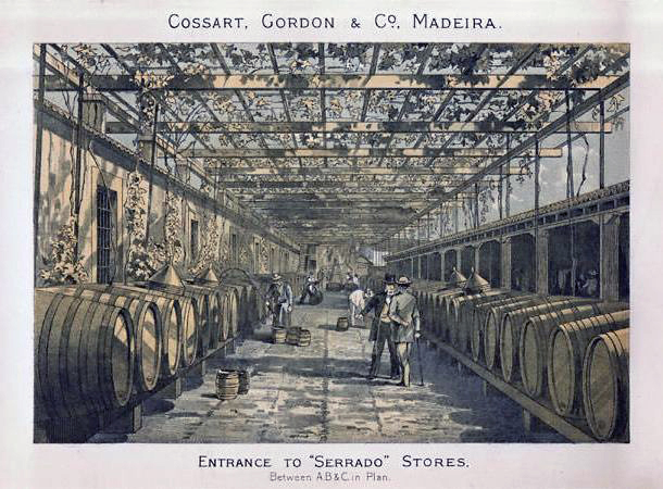 Armazéns de Cossart Gordon & Co. no Serrado, gravura de Henry Vizetelly ...