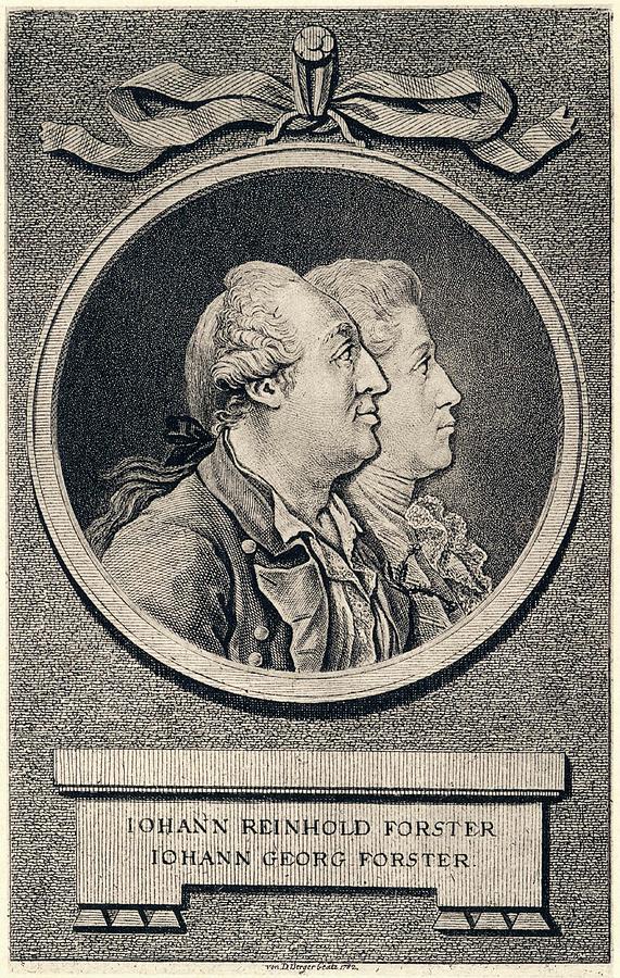 Johann Reinhold Forster e o filho Georg Forster, gravura de 1782 ...