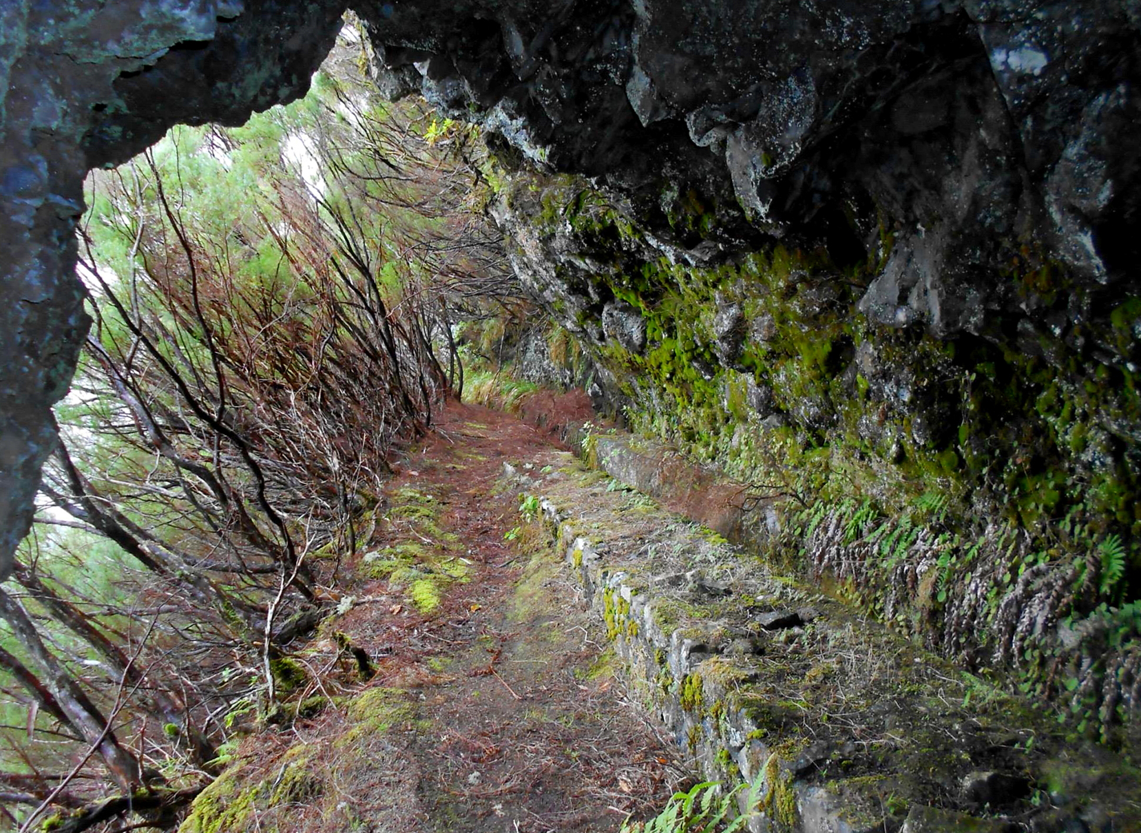 Levada velha do Rabaçal, campanha de 1850 (c.), José Lemos Silva, 2022 ...