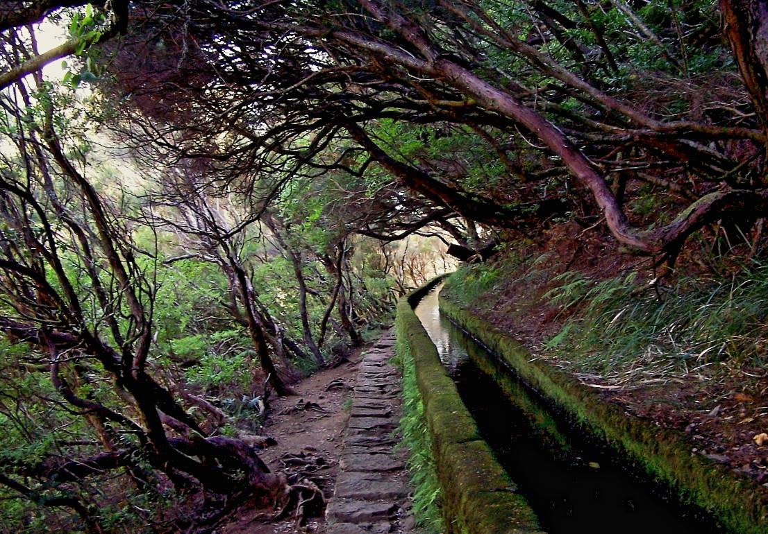 Levada nova do Rabaçal, campanha de 1950 (c.), José Lemos Silva, 2022 ...